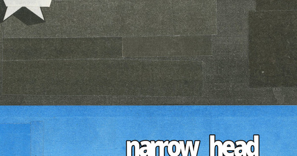 Narrow Head - Moments of Clarity