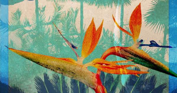 DOOD, ADDFX, Two Names - Jingo/Flashing Lights