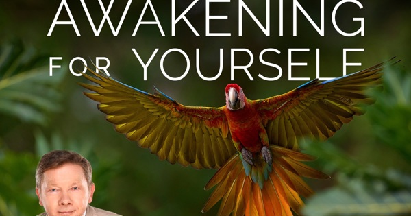 Experiencing Awakening for Yourself