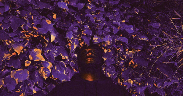 Cures and Curses - Liberate Me