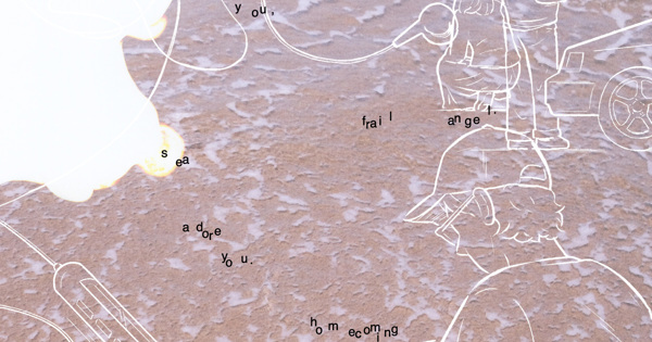 see you, frail angel. sea adore you.(LP)