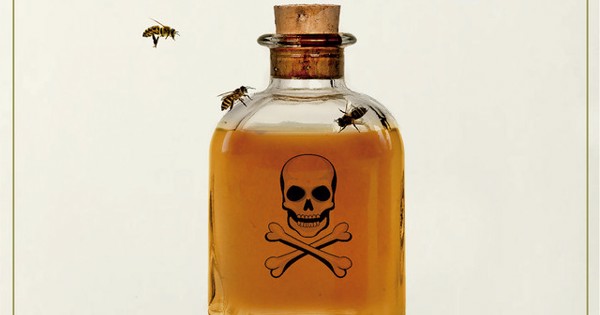 El Soldado - Miel del Mal