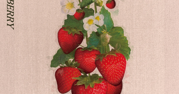 kobore「STRAWBERRY」