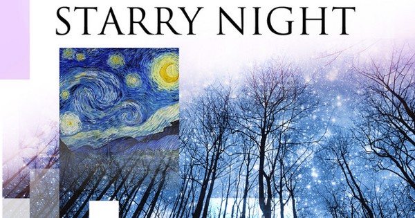 Various Artists - Starry Night