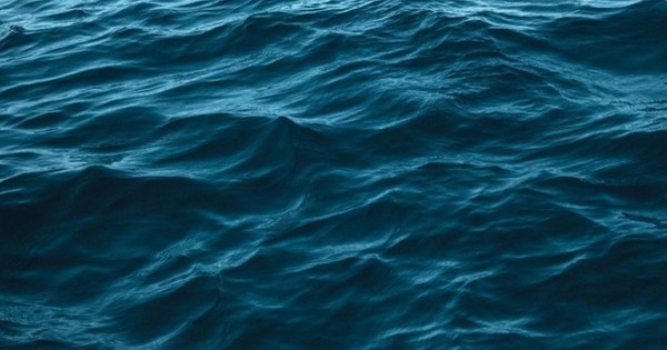 Tucker HD - Ocean