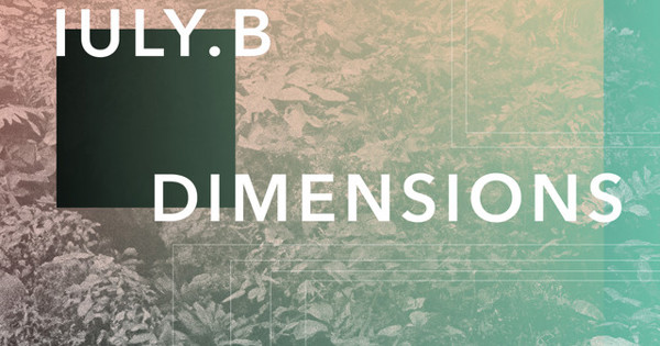 IULY.B - Dimensions