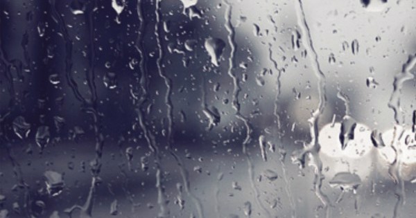 Blank & Jones, David Harks - Grown Minds