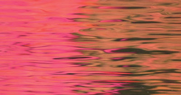 Silverstein - Dead Reflection