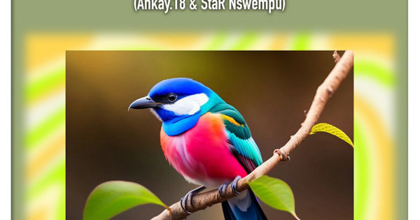 Ankay.18, StaR Nswempu - Bari