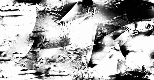 Gareth Moorcraft, Darren Bloom, Tabea Debus - Alternative views from ...