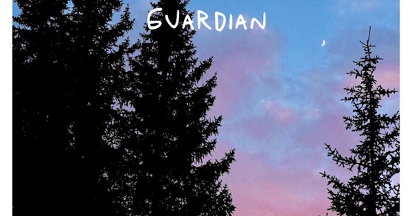 Hans Williams - Guardian