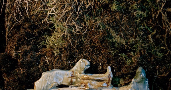 Johnny Flynn - Sillion