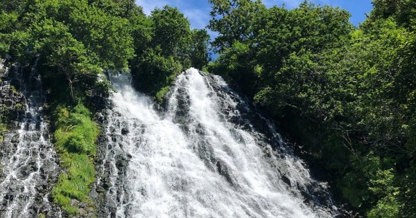 Steve Good - Waveforms