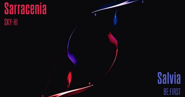 SKY-HI / BE:FIRST「Sarracenia / Salvia」
