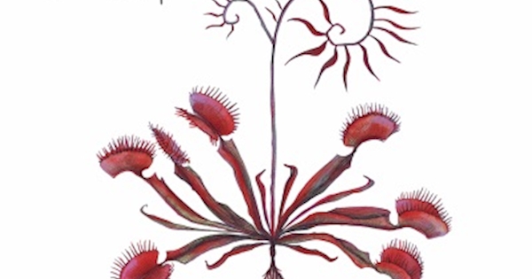 Navarra String Quartet - Love and Death