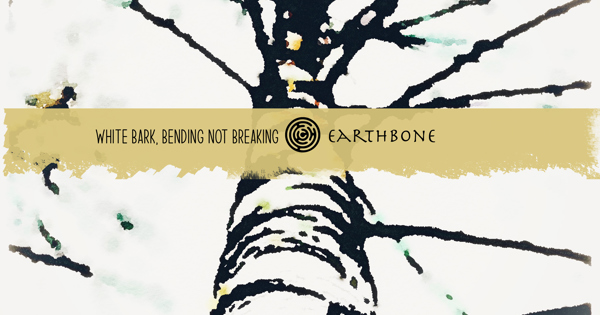White bark, Bending not breaking