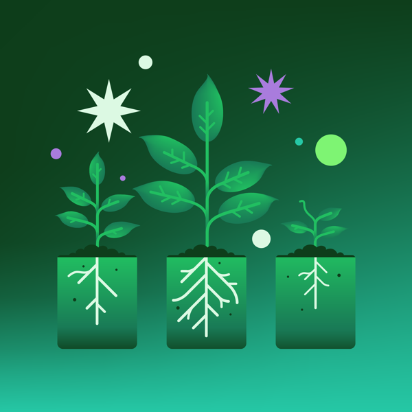 Not All Growth Is Good—Here's How to Get It Right