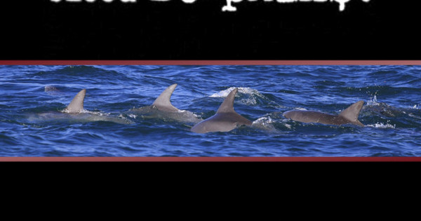 Mark Leggett - Blood Dolphins (Original Score)