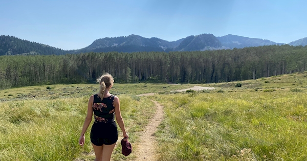 taylor swift - willow (official music video)