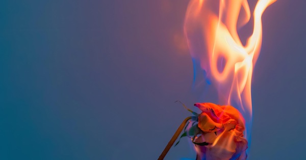 Luchi - Fix This Love - Single