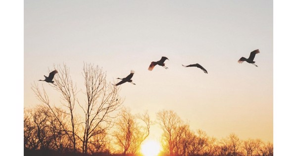 Andrew Sloman - Yoakè