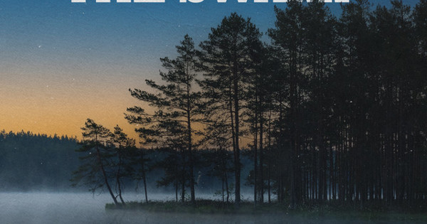 Roy Edwin Williams - Summer in the Swamp