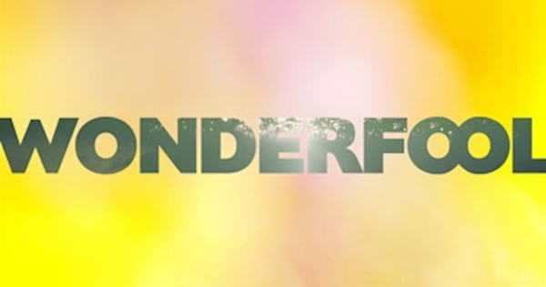 Wonderfool - Wonderfool