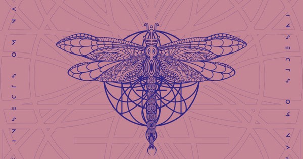 Sex Of Insects - Om Nah Omn