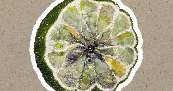 Wilco - Hot Sun Cool Shroud - EP