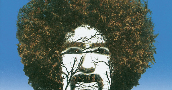 Fermin IV - Boomerang