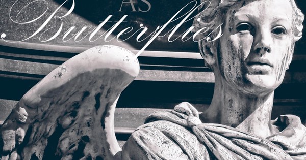 Leaves As Butterflies - Medicine