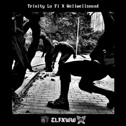 Trinity Lo Fi & WellWellSound - Tlfxww