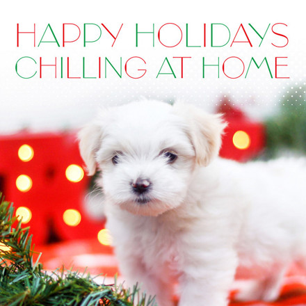 Happy Holidays Chilling at Home🎄