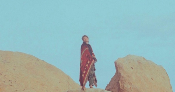 Meredith Lane | Greyhound