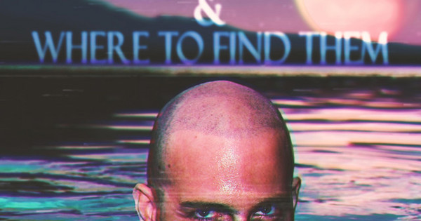 Alex Aris - Whales and Where to Find Them