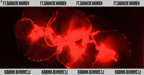 Marten Hørger, Sarah de Warren - Make It Right