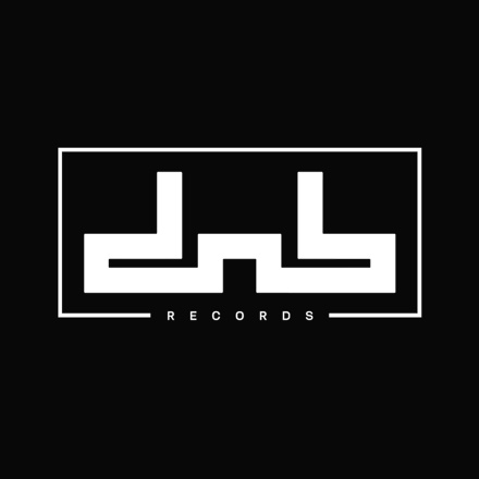 DNB ALLSTARS RECORDS