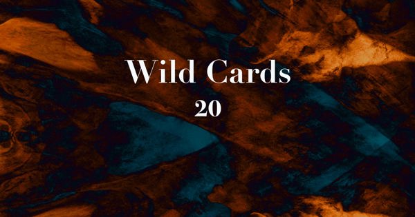 Pammin, MI;LAN - Wild Cards 20