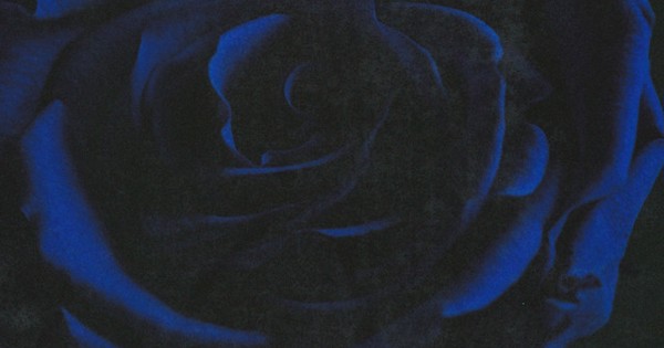 Imminence - Ghost (Acoustic)