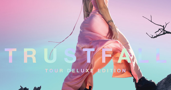 P!nk - All Out Of Fight