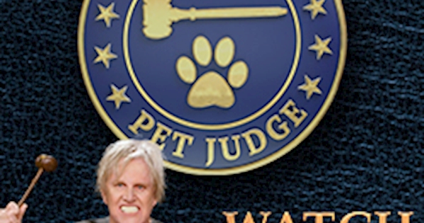 Gary Busey: Pet Judge