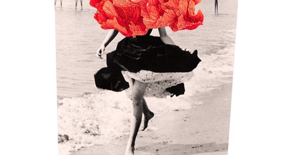 Maria Chiara Argirò - Nautilus