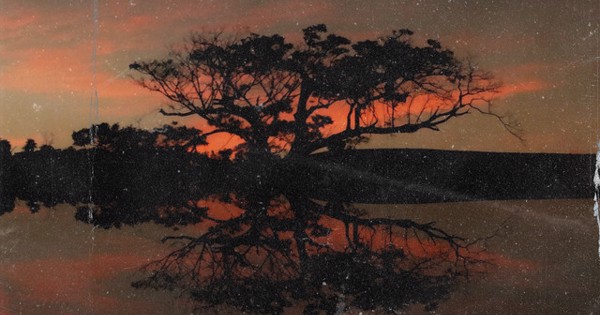 Martin Landström - Muita Calma