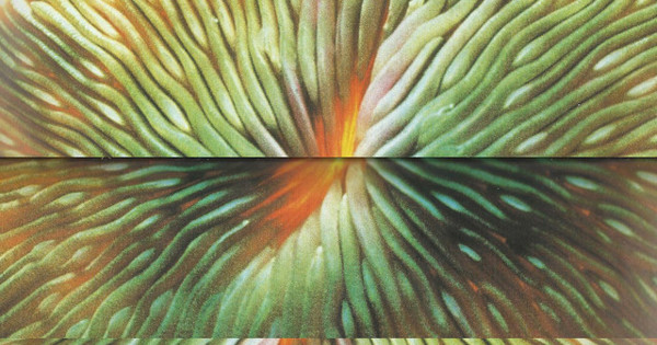 Active Surplus - Mirroring