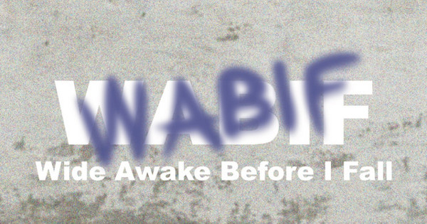 1VERSE - WABIF (Wide Awake Before I Fall)