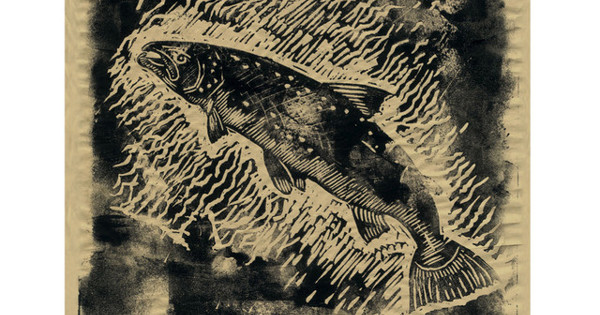 Edwyn Collins - Understated