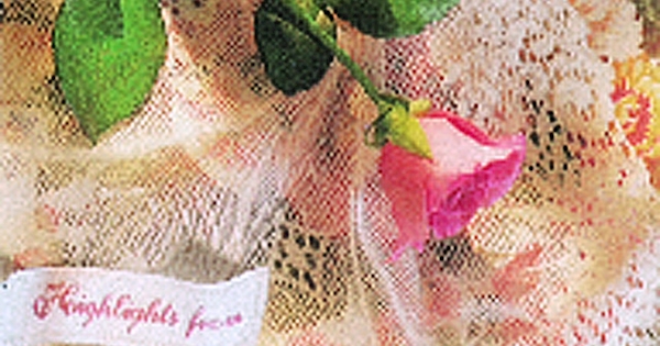 Barbra Streisand - Highlights From Just For The Record