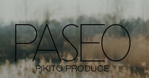 Pikito Produce - Paseo - Single