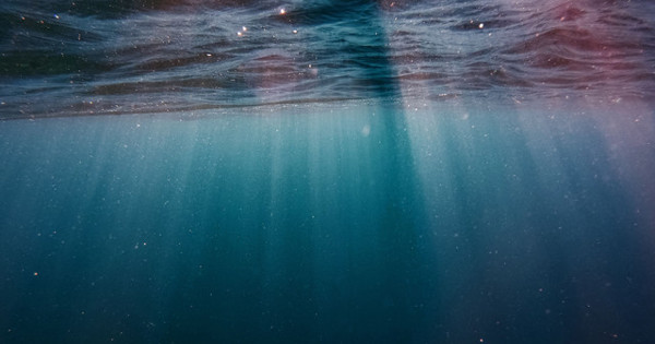 Jhon Reyes - Sting Work