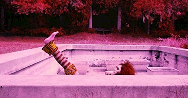 Hot Rats Sessions 50th Anniversary [Coffret Edition Limitée]